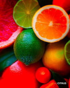 Red - Perfume 100Ml | Kiton